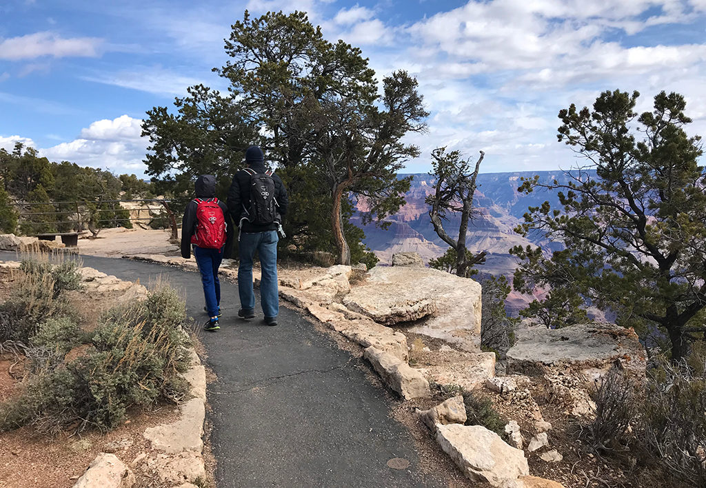 Trailview Overlook On Hermit Road In Grand Canyon National Park