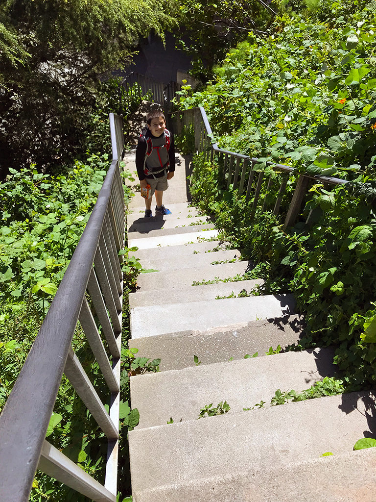 The Greenwich Steps On Telegraph Hill In San Francisco - Inspired ...