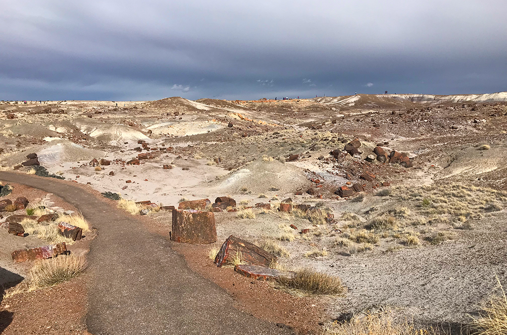 Exploring The Crystal Forest At Petrified Forest National Park