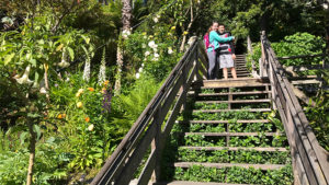 The Filbert Steps On Telegraph Hill In San Francisco