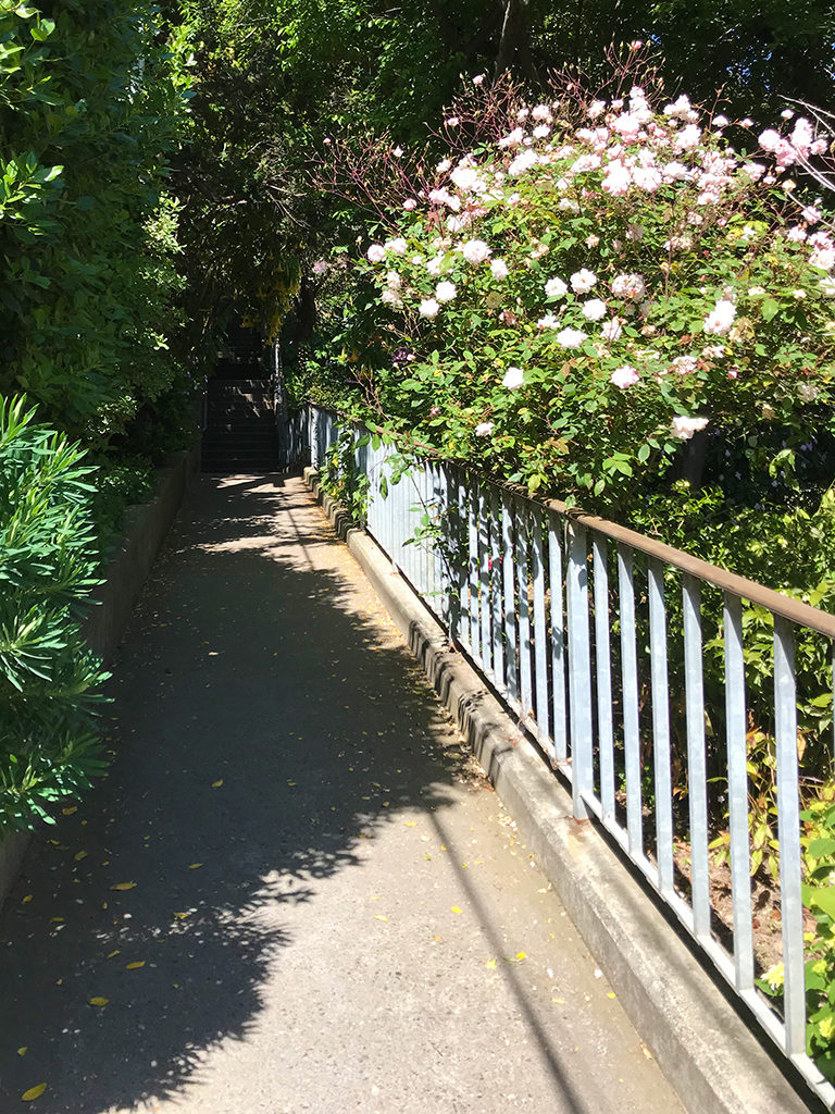 The Greenwich Steps On Telegraph Hill In San Francisco - Inspired ...