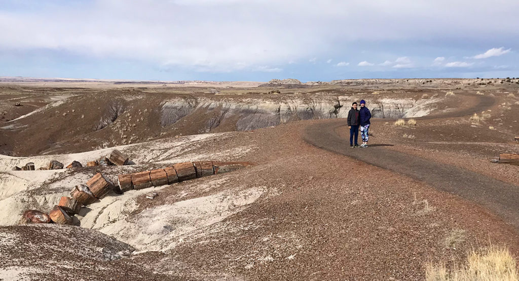 Exploring The Crystal Forest At Petrified Forest National Park