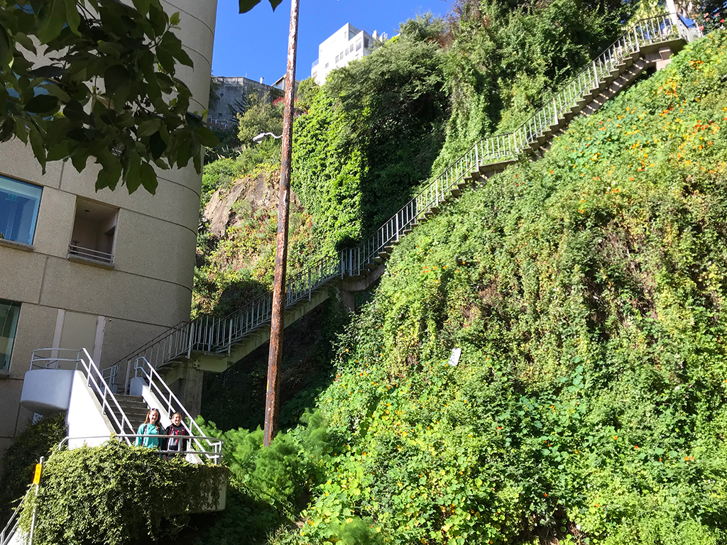 The Filbert Steps On Telegraph Hill In San Francisco