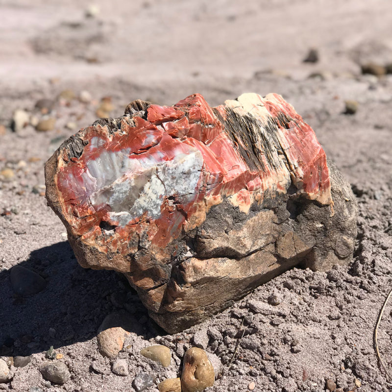 Blue Mesa Trail In The Painted Desert Of Petrified Forest National Park