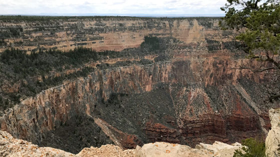 The Abyss On The Canyon Rim Trail At Grand Canyon National Park