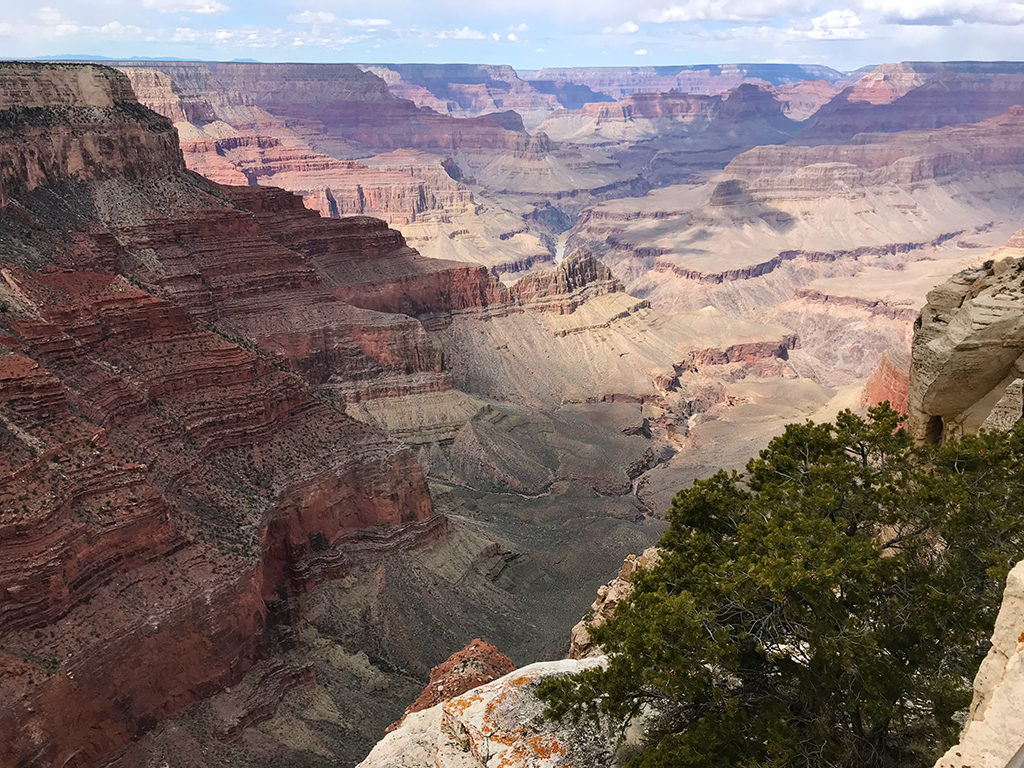 The Abyss On The Canyon Rim Trail At Grand Canyon National Park