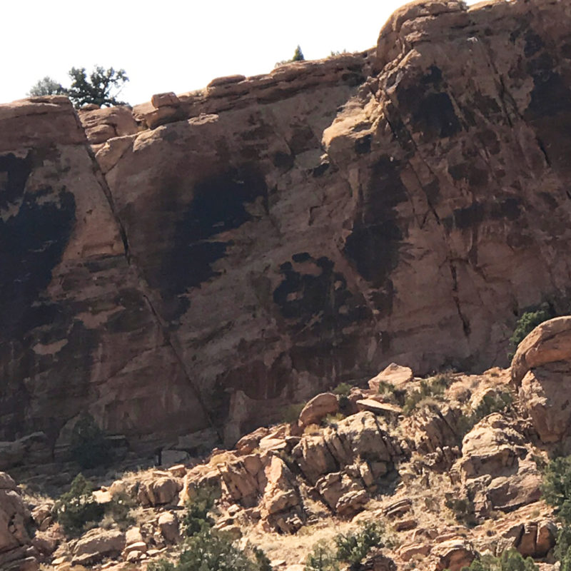 Fremont Petroglyphs And Giant Lizard Petroglyph At Dinosaur National ...