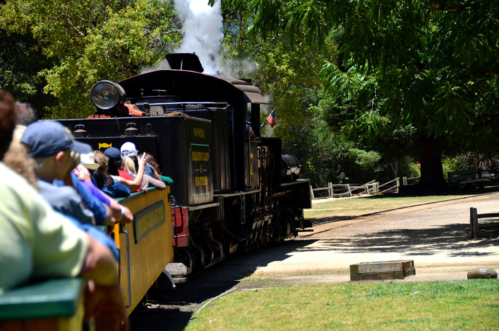 Roaring Camp Railroads In The Santa Cruz Mountains