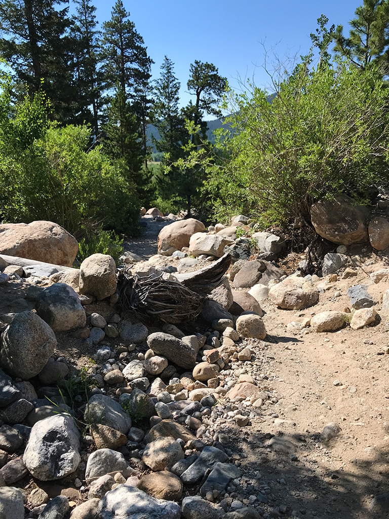 Alluvial Fan Waterfall In Rocky Mountain National Park