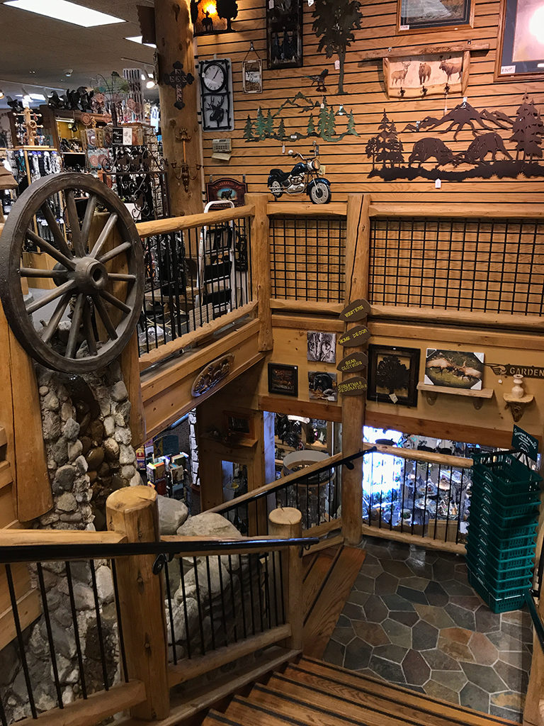 Fall River Visitor Center At Rocky Mountain National Park