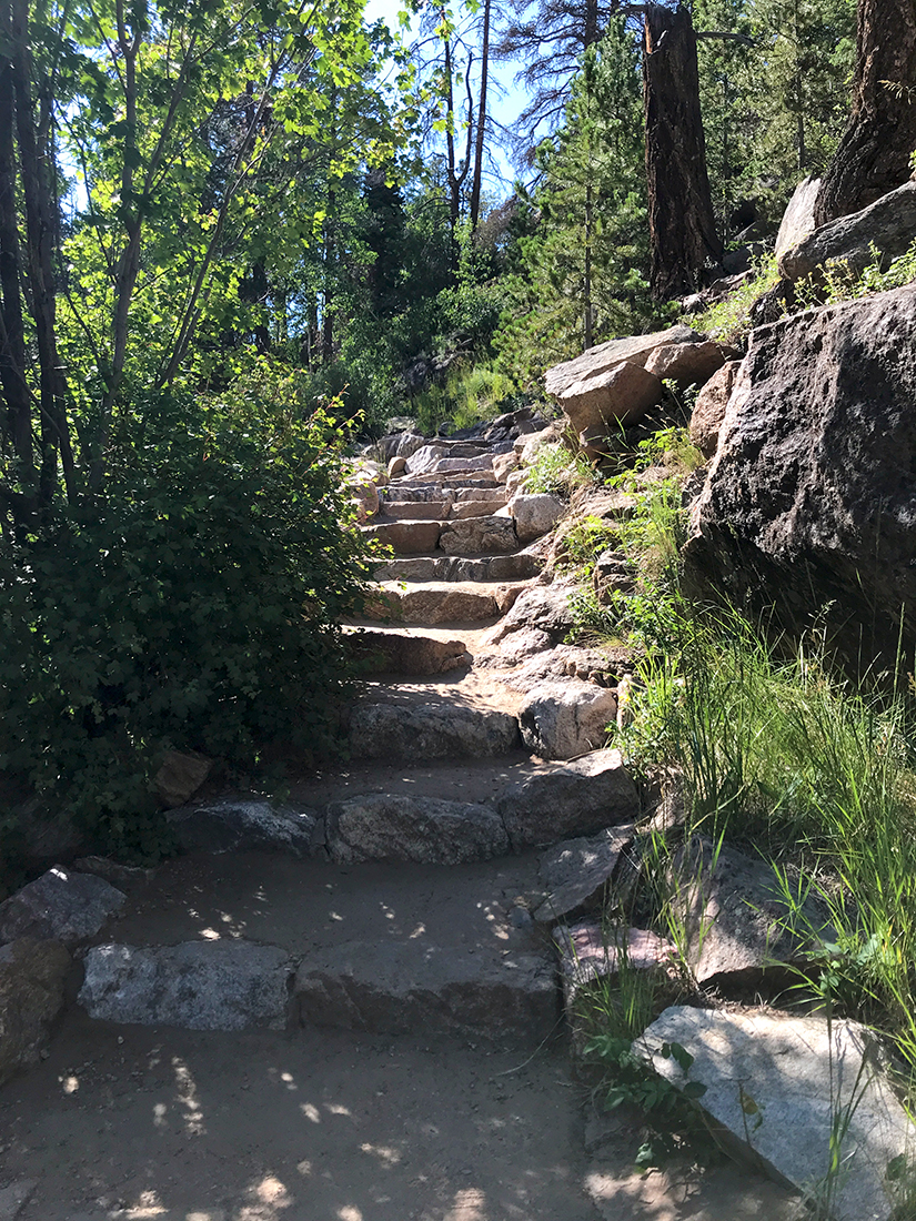 Chasm Falls Off Old Fall River Road In Rocky Mountain National Park