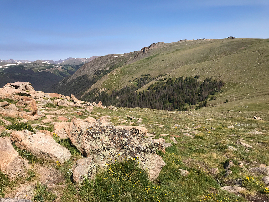 Forest Canyon Overlook On Trail Ridge Road In Rocky Mountain National Park