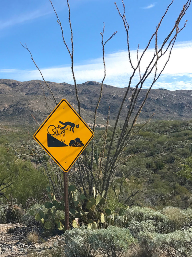 Scenic Cactus Forest Loop Drive At Saguaro National Park