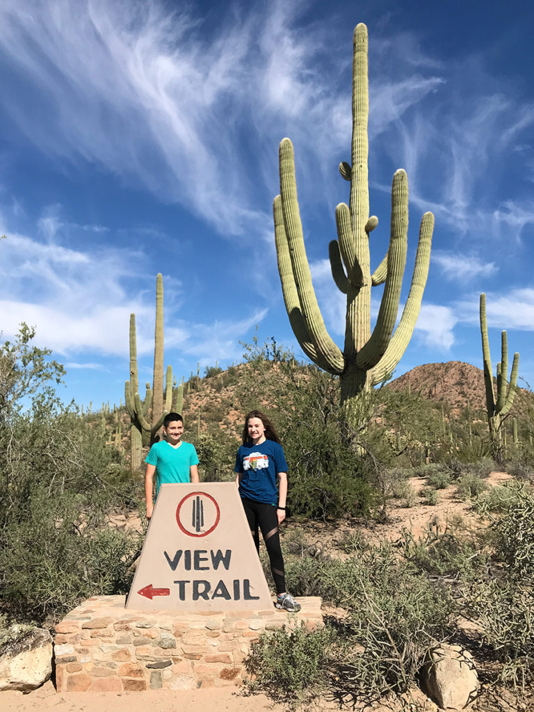 The Valley View Overlook Trail At Saguaro National Park