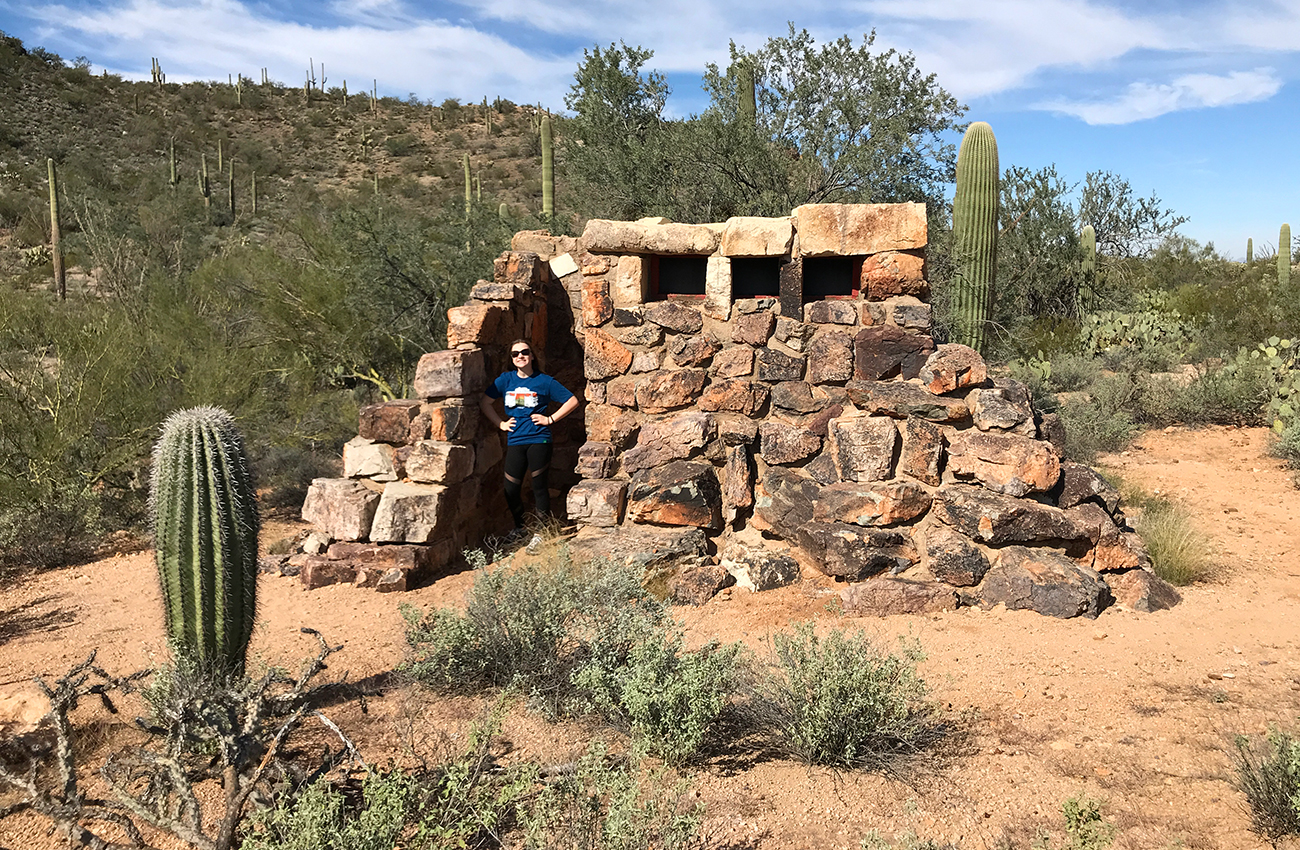 Scenic Bajada Loop Drive At Saguaro National Park