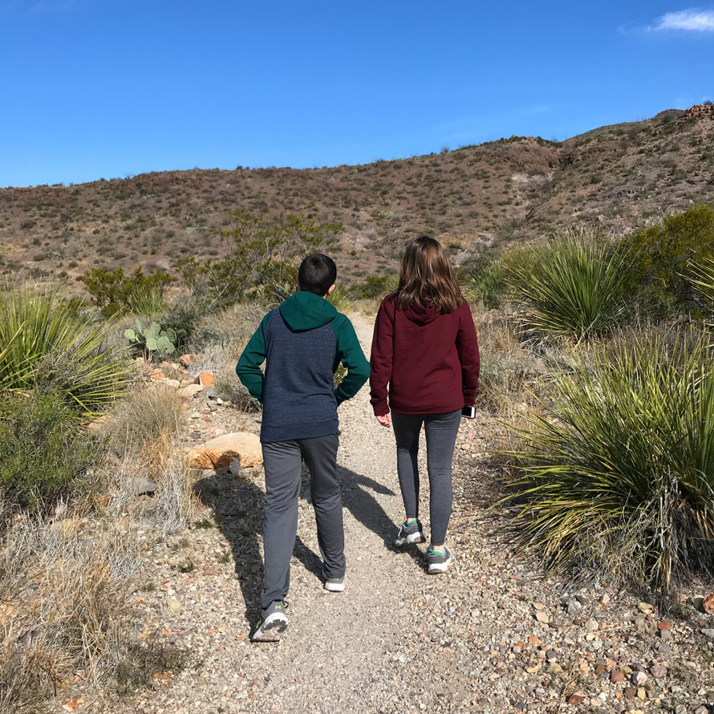 Blue Creek Canyon And Homer Wilson Ranch At Big Bend National Park