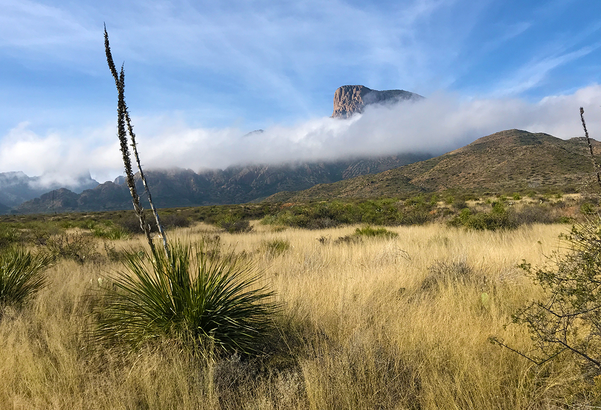 The Chisos Basin Visitor Center At Big Bend National Park