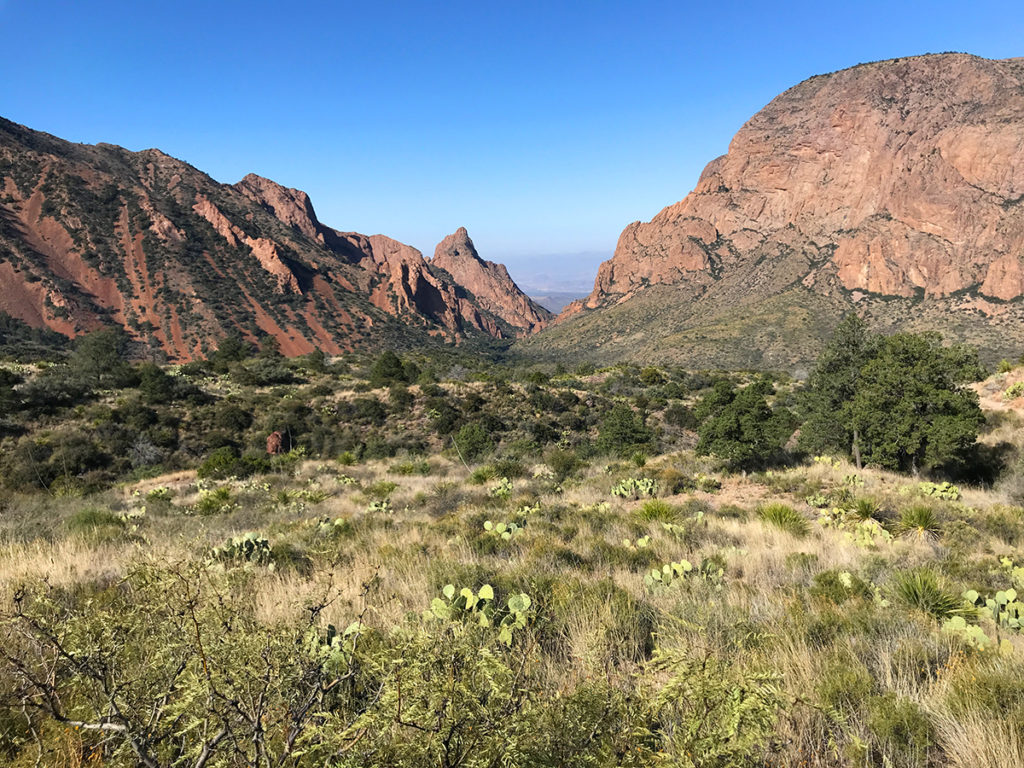 Window View Trail In The Chisos Basin At Big Bend National Park
