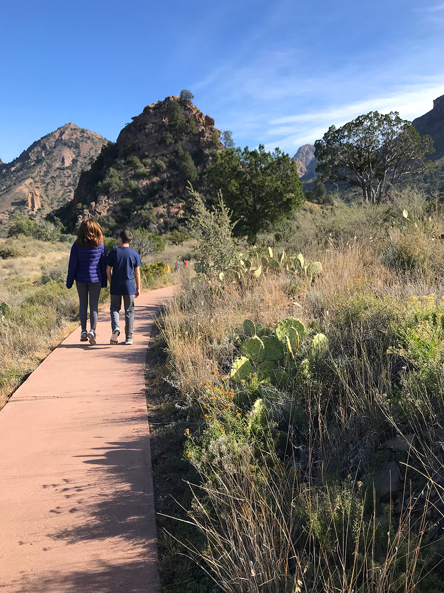 Window View Trail In The Chisos Basin At Big Bend National Park