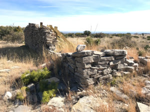 The Pinery Trail At Guadalupe Mountains National Park