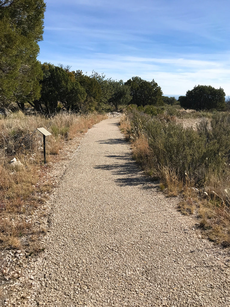 The Pinery Trail At Guadalupe Mountains National Park