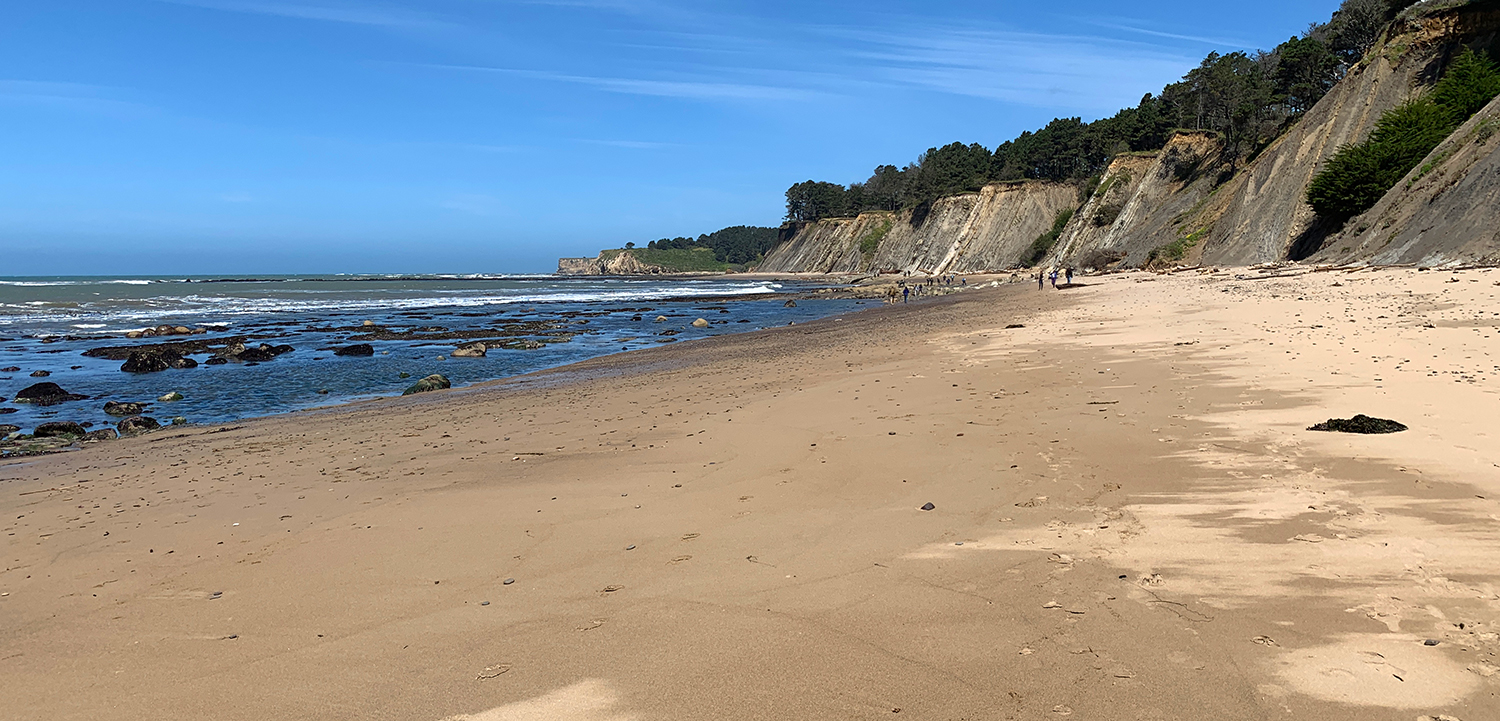 Bowling Ball Beach Near Point Arena in Mendocino County