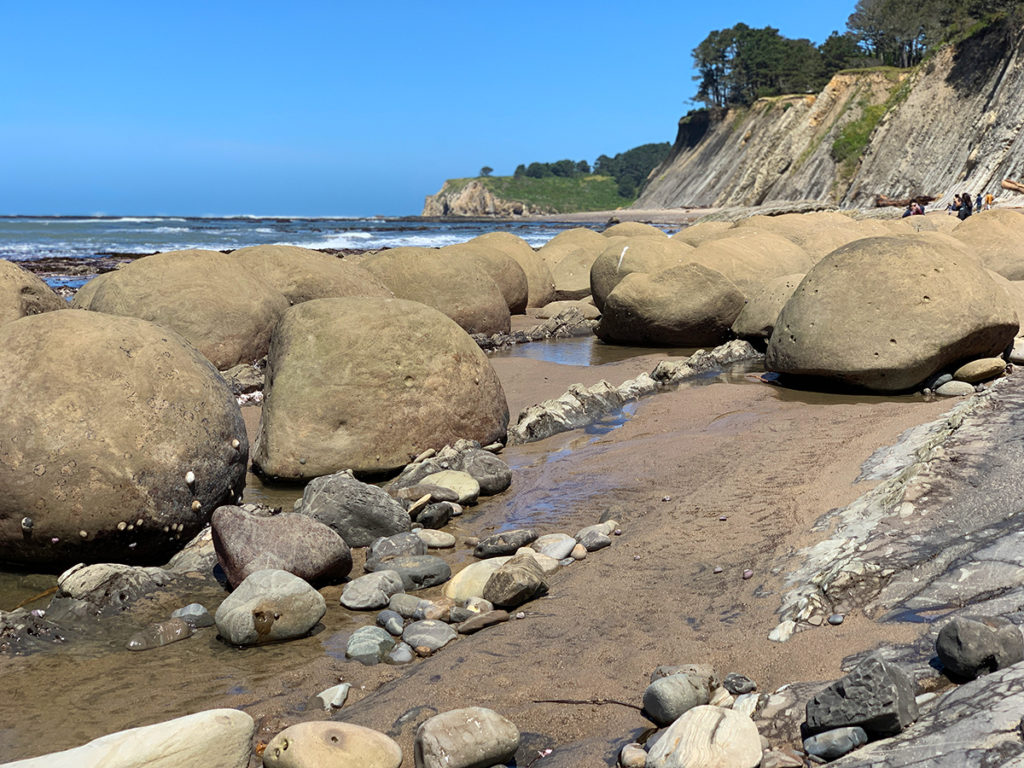 Bowling Ball Beach Near Point Arena in Mendocino County