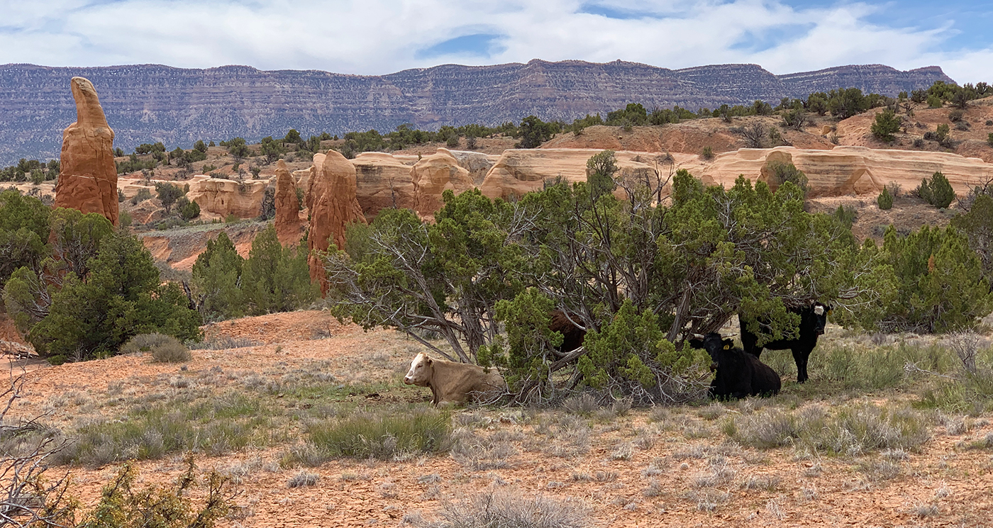 Devil’s Garden Outstanding Natural Area In Utah