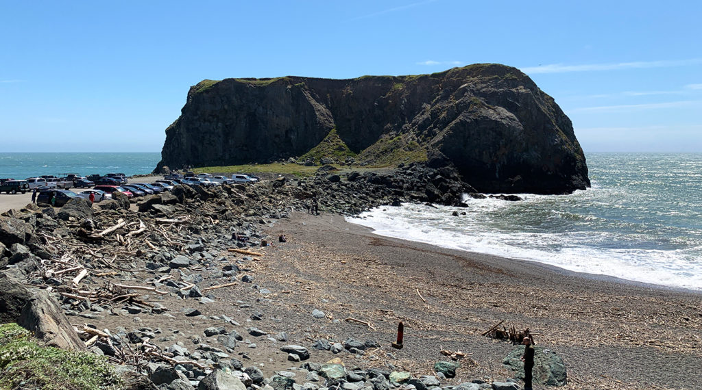 Goat Rock Beach and Blind Beach Near Jenner, California