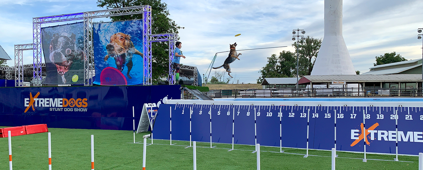 Everything You Need To Know About The 2019 Sacramento County Fair