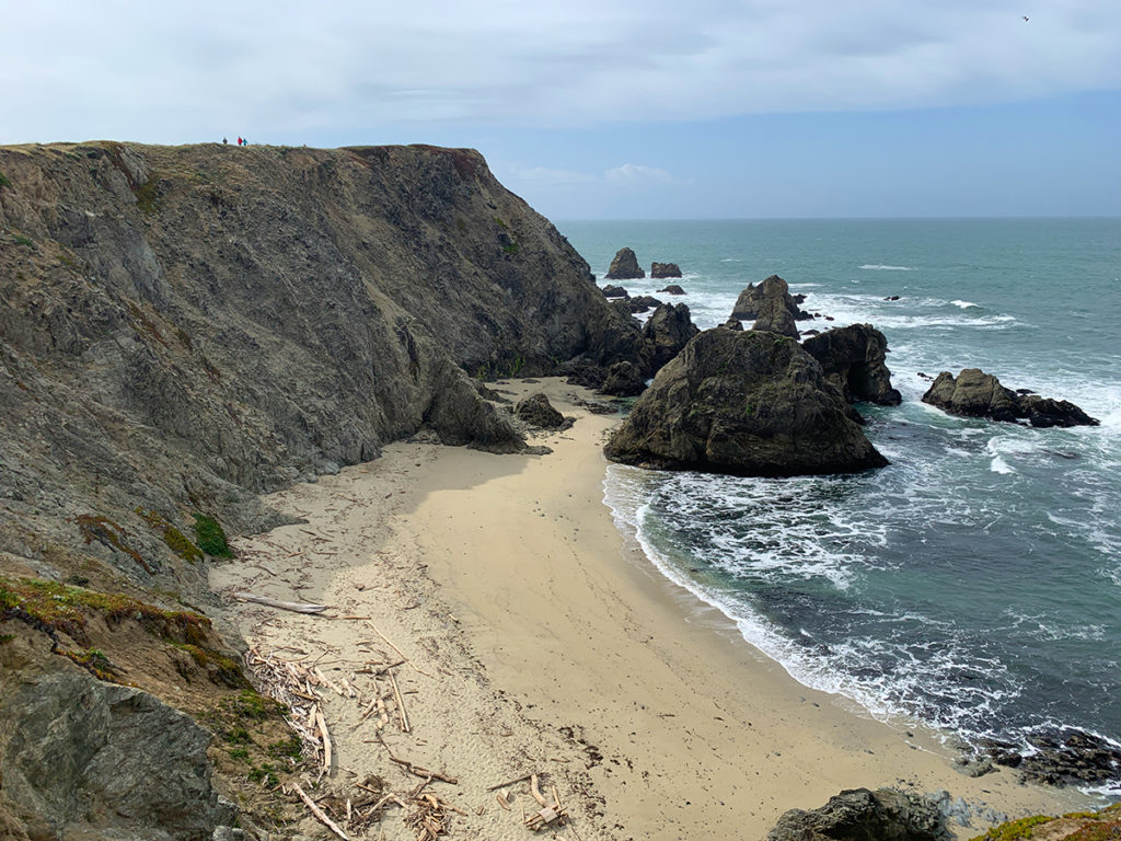 Bodega Head Trail In Bodega Bay - Inspired Imperfection