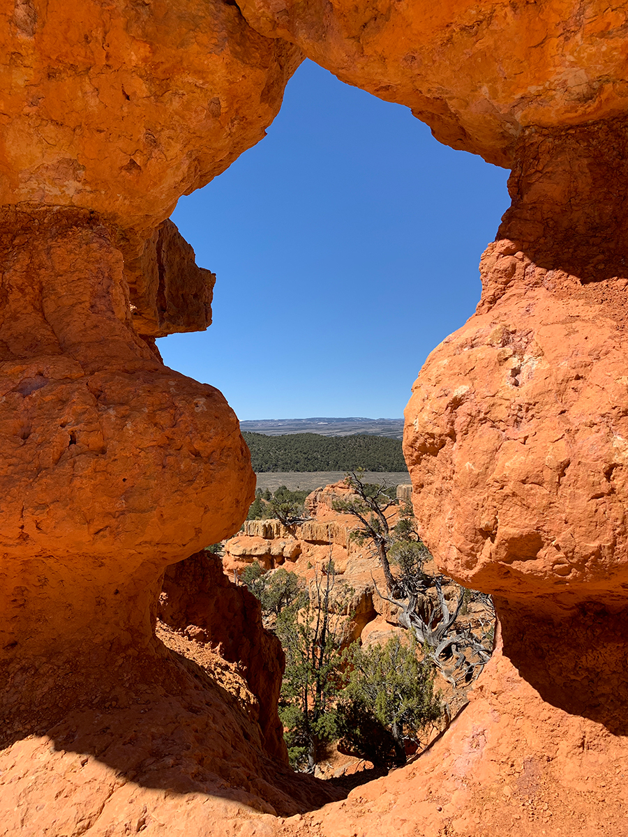 Red Canyon Arches Trail in Losee Canyon
