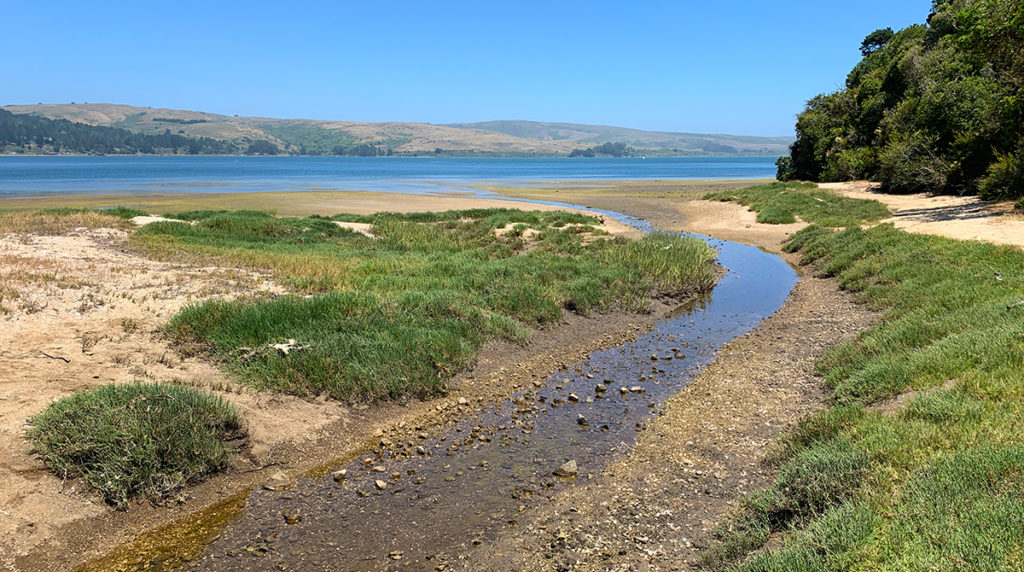 Tomales Bay State Park