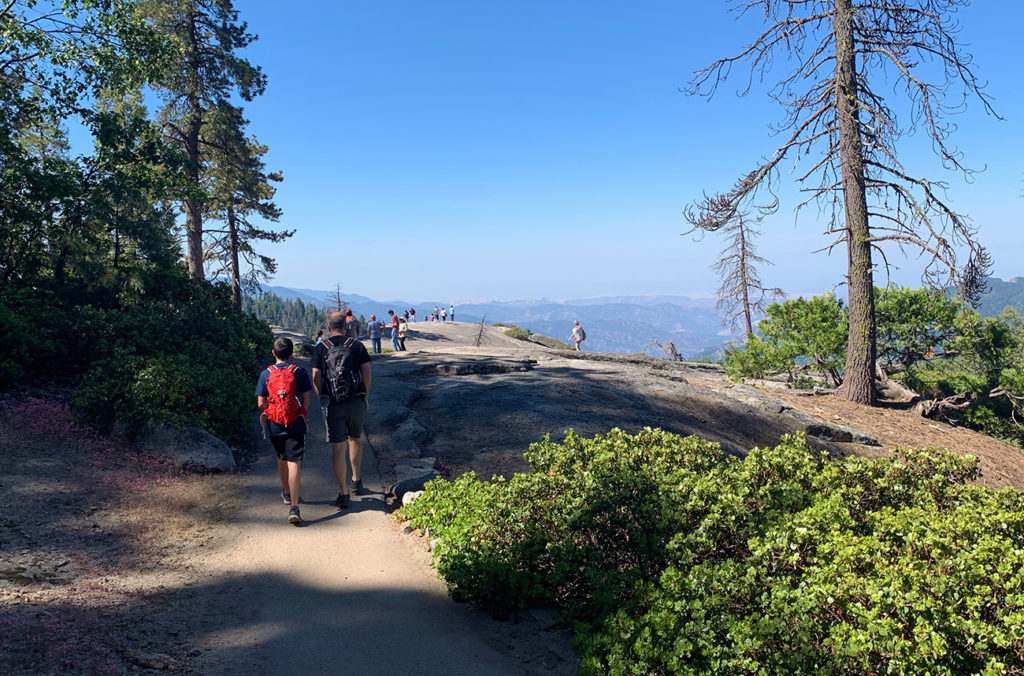 Beetle Rock Trail And Vista Point At Sequoia National Park
