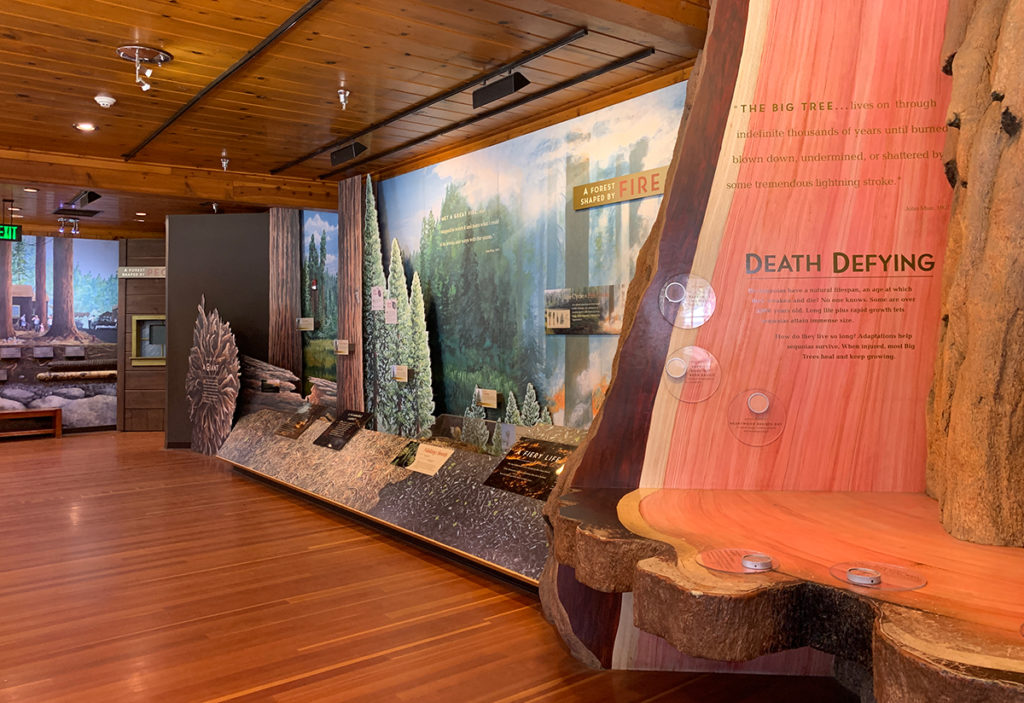 Historic Giant Forest Museum At Sequoia National Park - Inspired ...